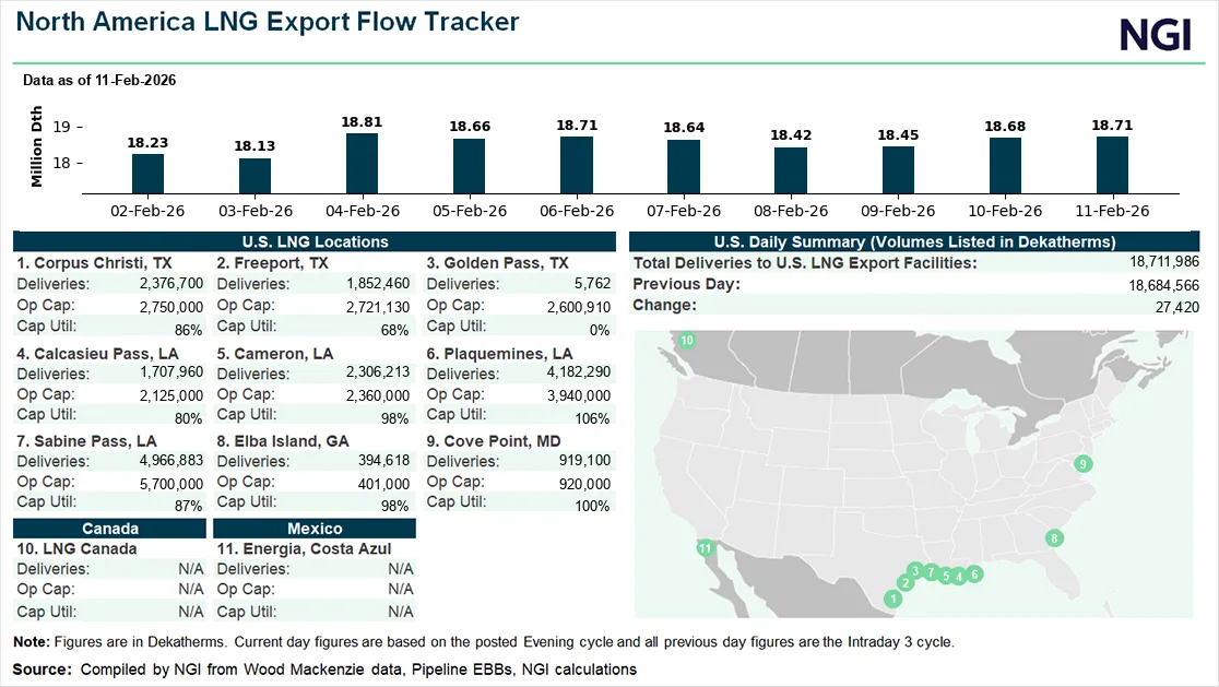 Delfin Midstream Expands Buyer Base With Emerging Gulf LNG Player