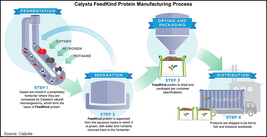 BP Finds New Market for Natural Gas in California Startup
