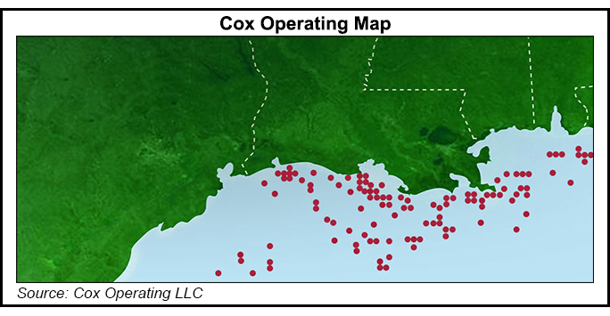 Another Gulf Coast CCS Venture Underway by Repsol, Partners