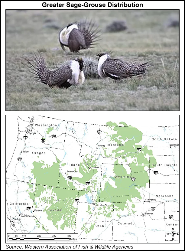 Industry Files Lawsuit Against Federal Sage Grouse Plan
