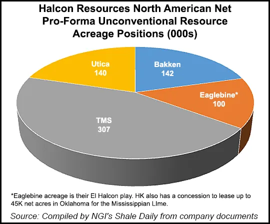 Halcon Joins TMS Flock