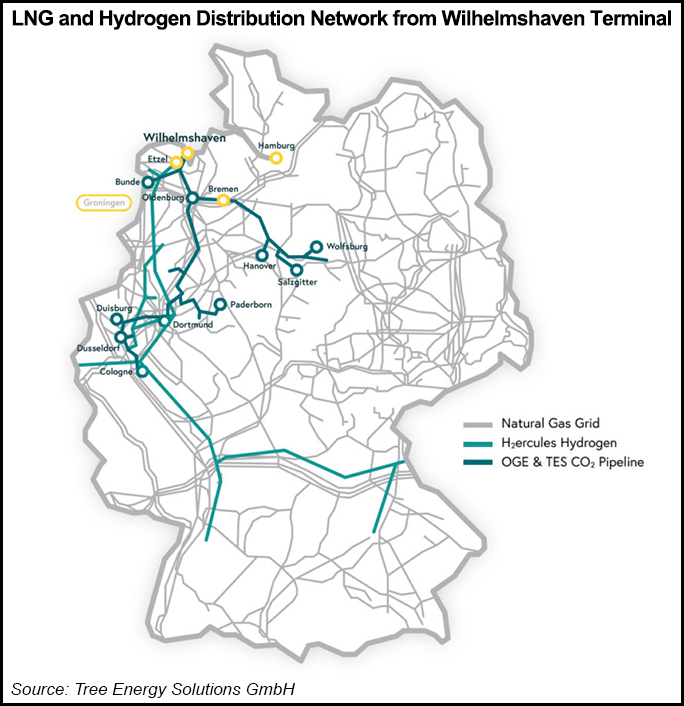 Tree Energy, HIF Global Looking to Scale Hydrogen Production Using LNG ...