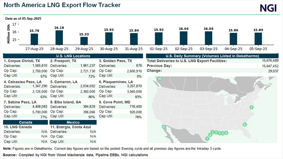 Five Things to Know About U.S. EIA LNG Export Data