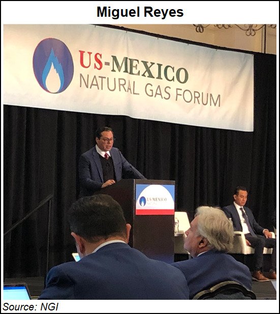 CFE to Tender Coatzacoalcos LNG Plant, CFE International Director Reyes ...