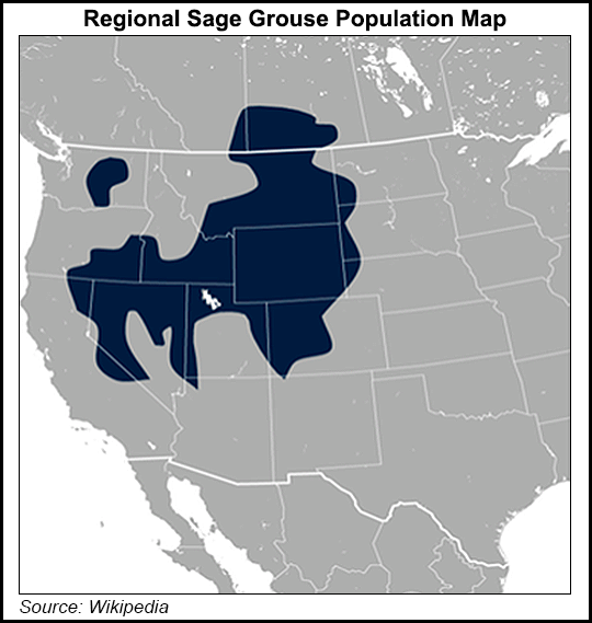 Federal Court Blocks BLM's Sage Grouse Plans in Seven States