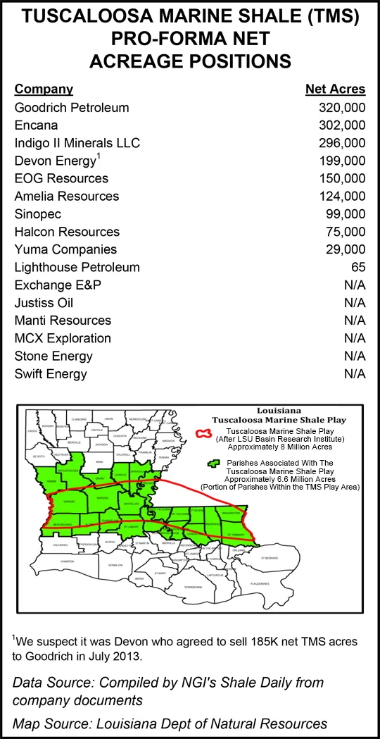 Goodrich Growing TMS Position, Reducing Drilling Costs